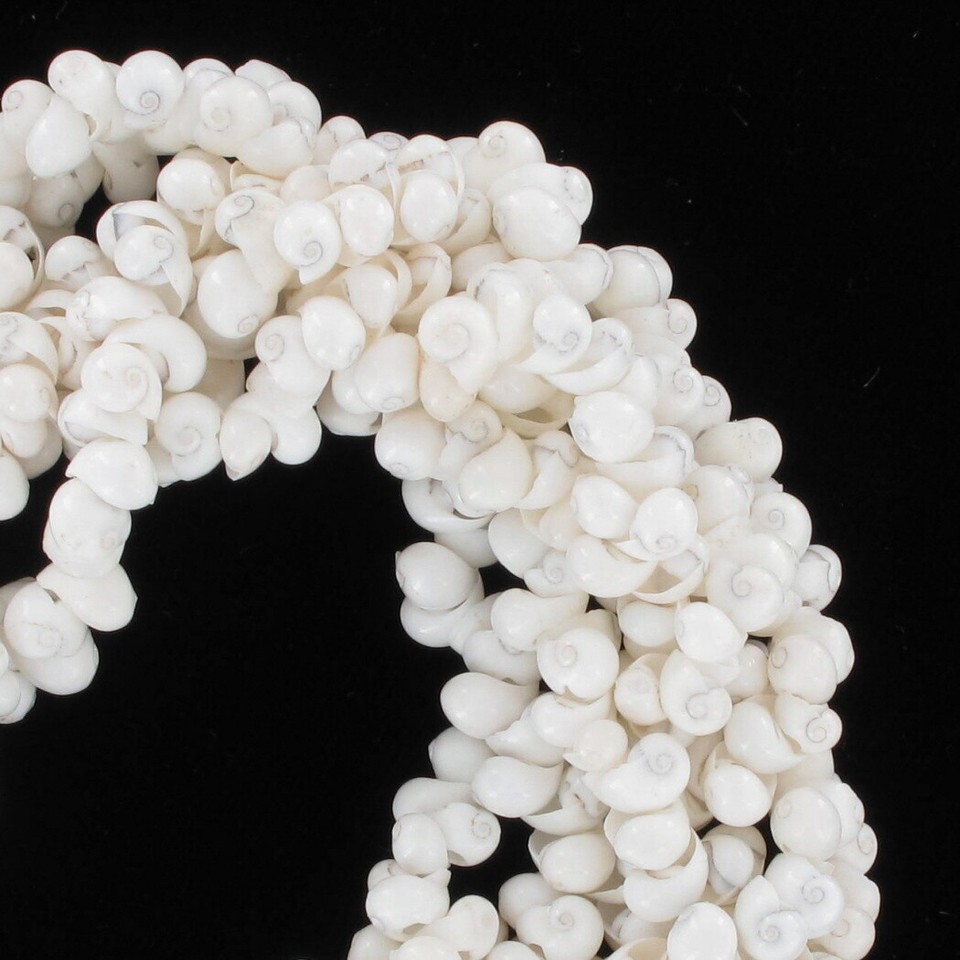 White Cluster Shells Drawstring Beaded Nantucket Surfer Bracelet 6.5-10 ...