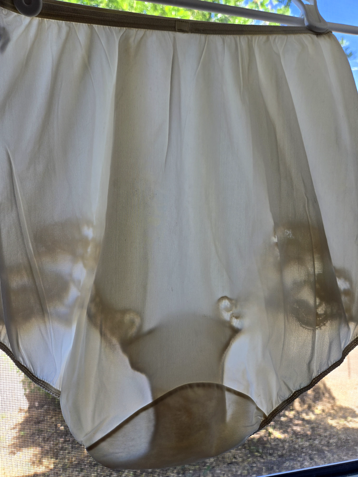 Vintage Vanity Fair Brief Very Rare w/Lace inserts sz 6 | eBay