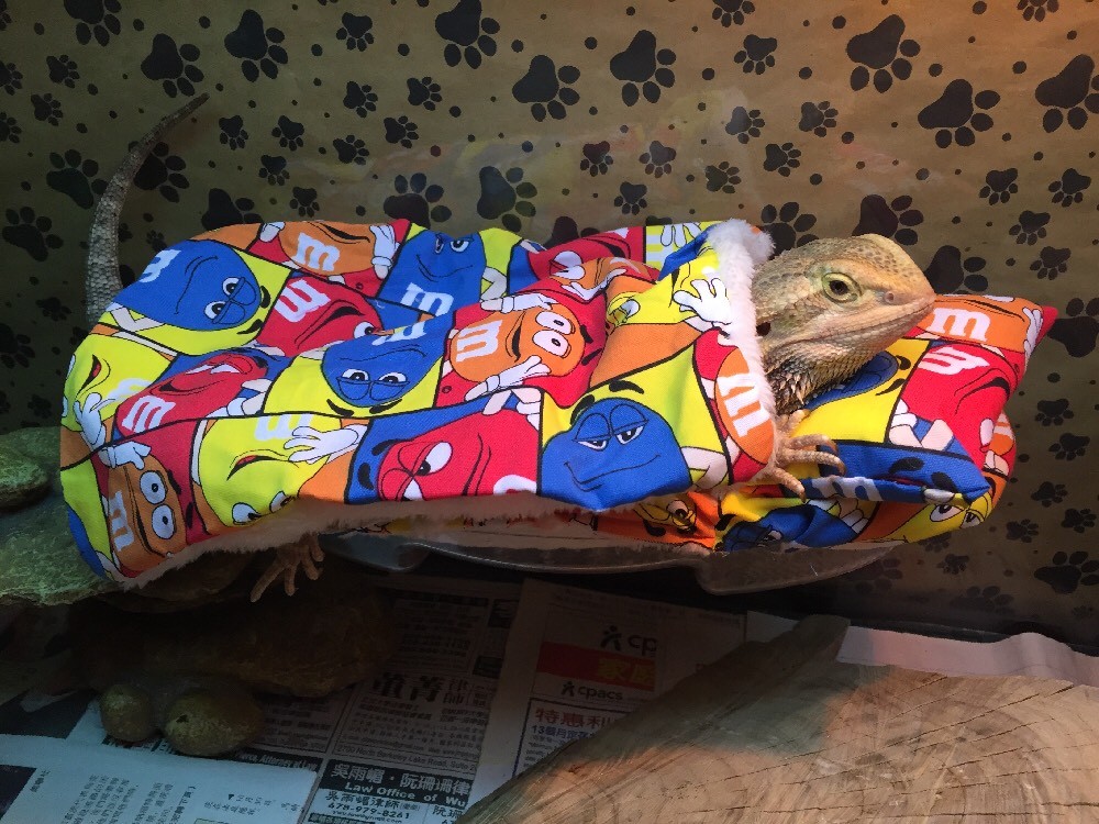 M&M PRINT LARGE ATTACHABLE RESTING SOFT BED COVERS 4 BEARDED DRAGON | eBay