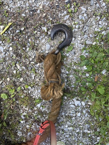 Antique Nautical Sailor Spliced Long Heavy Rope w/ Hand Forged Hook 700 ...