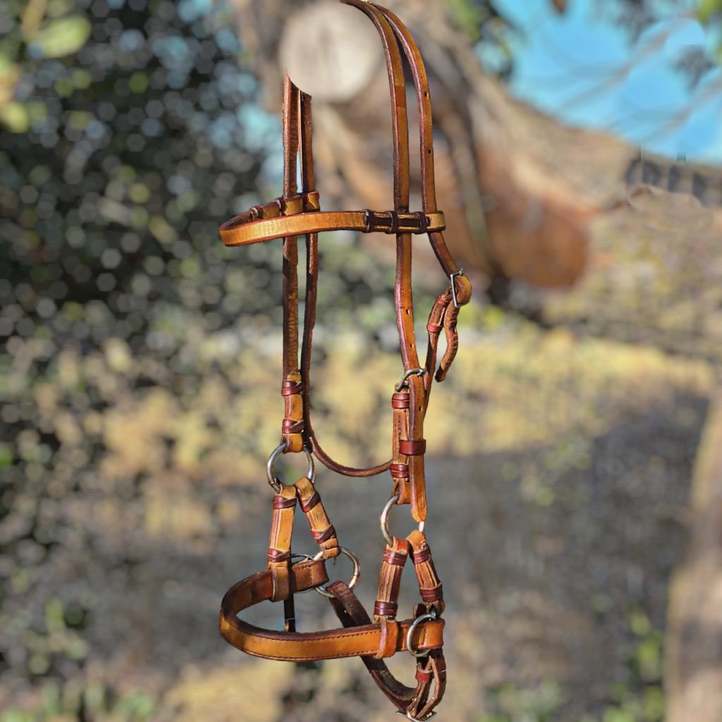 Champion USA Made Harness Leather Noseband Sidepull Large Horse Bitless Bridle | eBay