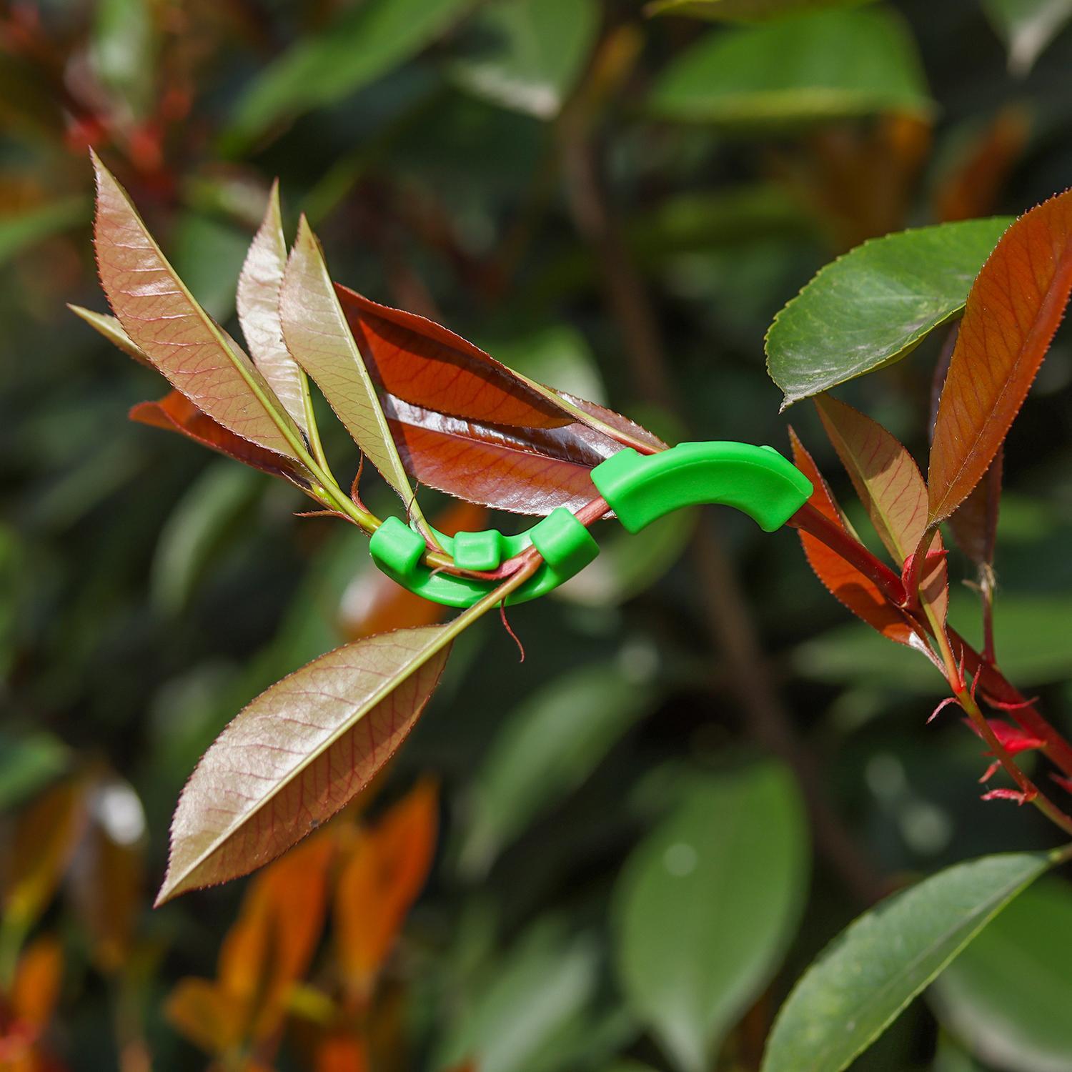 Manipulation kit Plant Trainer for Low Stress Training 90 Degree Plant ...