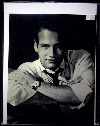 Vintage Black and White Portrait Actor Paul Newman's Back board 8x11 | eBay