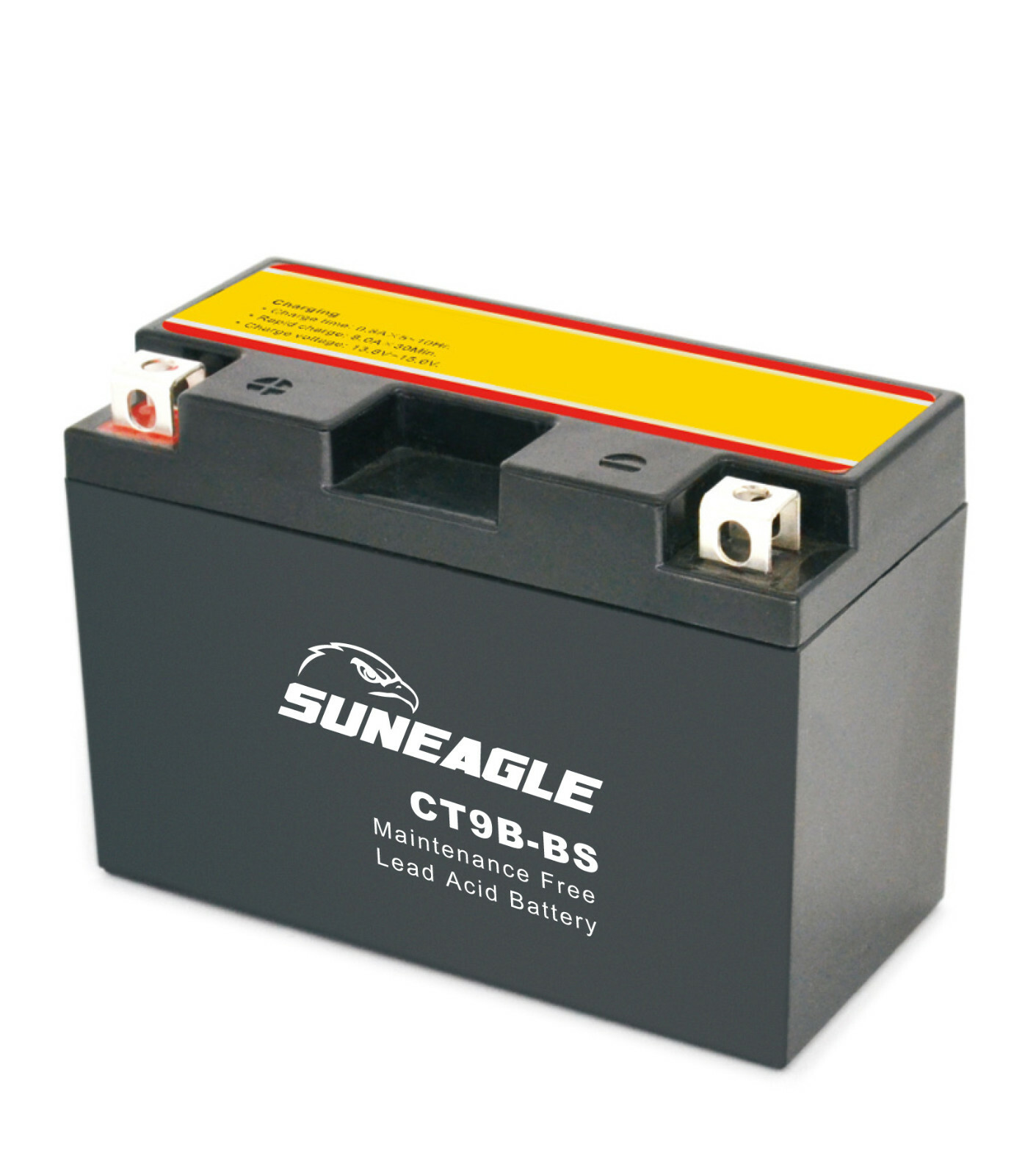 CT9B-BS Rechargeable AGM ATV Battery for Yamaha Raptor 700, R, R SE ...