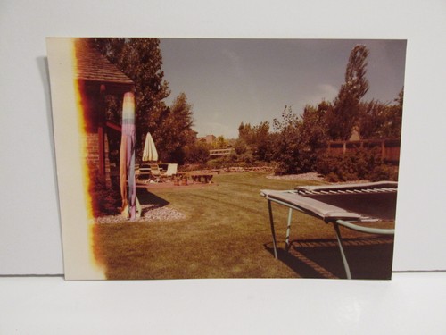 1980S VINTAGE FOUND PHOTOGRAPH COLOR ORIGINAL ART PHOTO BIG BACKYARD ...