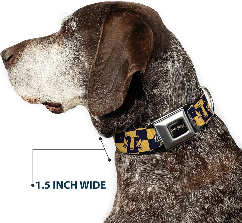 The Wizarding World of Harry Potter Pet Collar, Dog Collar Metal ...