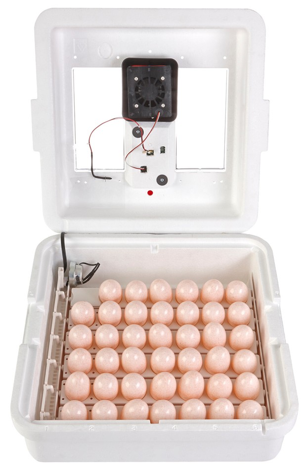 Still Air Incubator For Chicken Eggs Quail Eggs Exotic Bird Eggs ...