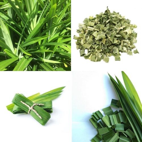 Rampe Pandan Dried Leaves Pandanus Amaryllifolius Ceylon 100g natural ...