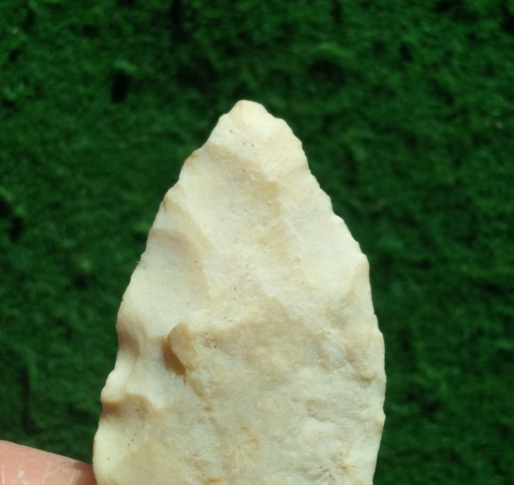 2" PALEO SIMPSON FLORIDA ARROWHEAD Authentic Indian Artifact AUTHENTIC ...