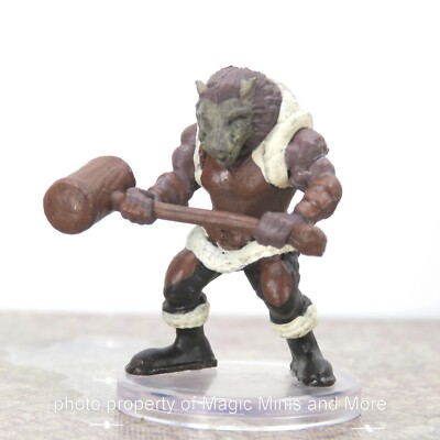 Sand & Stone ~ WEREBOAR #20 D&D Icons of the Realms miniature | eBay