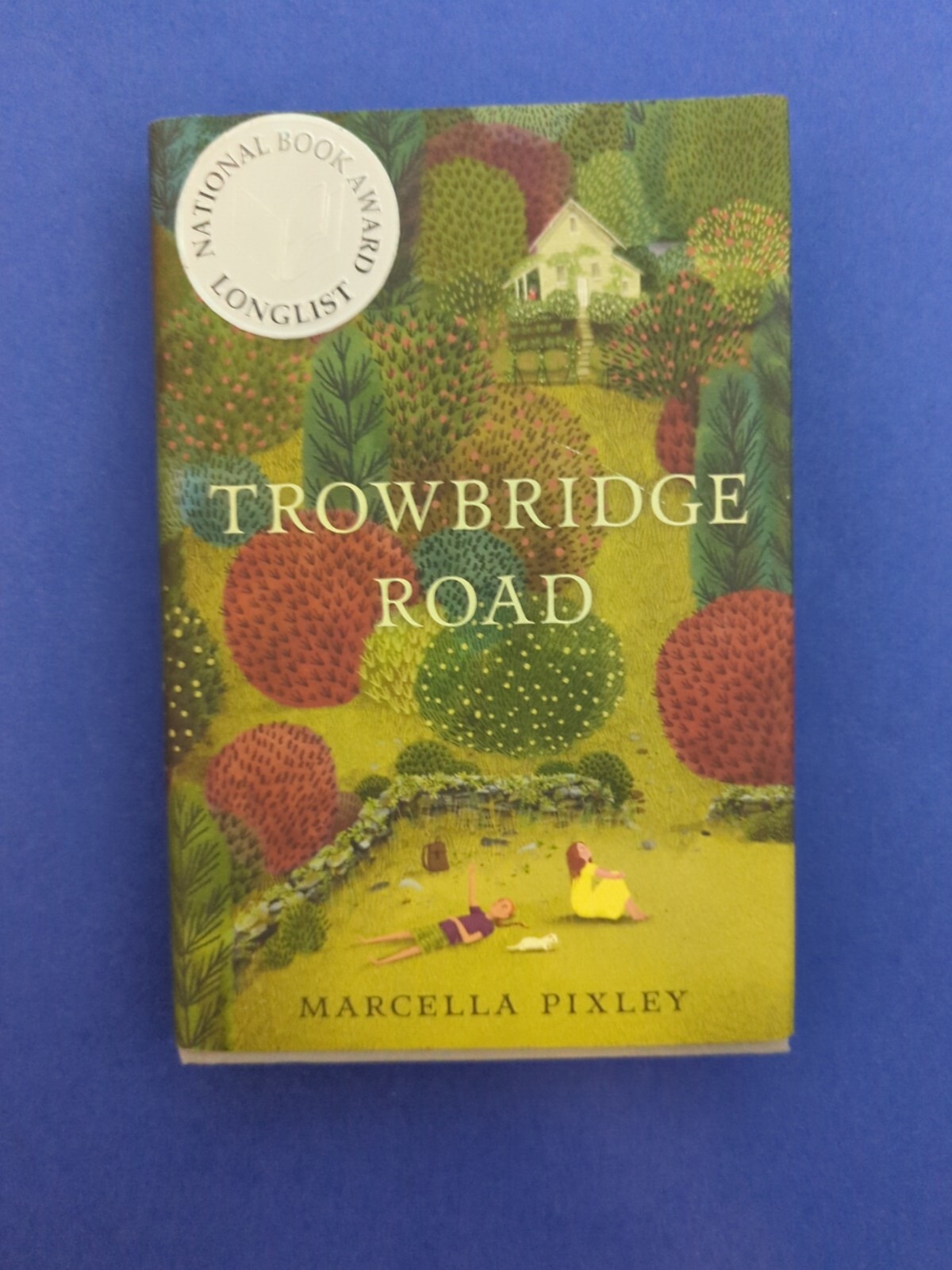 Trowbridge Road, Hardcover by Pixley, Marcella, Brand New 9781536207507 ...