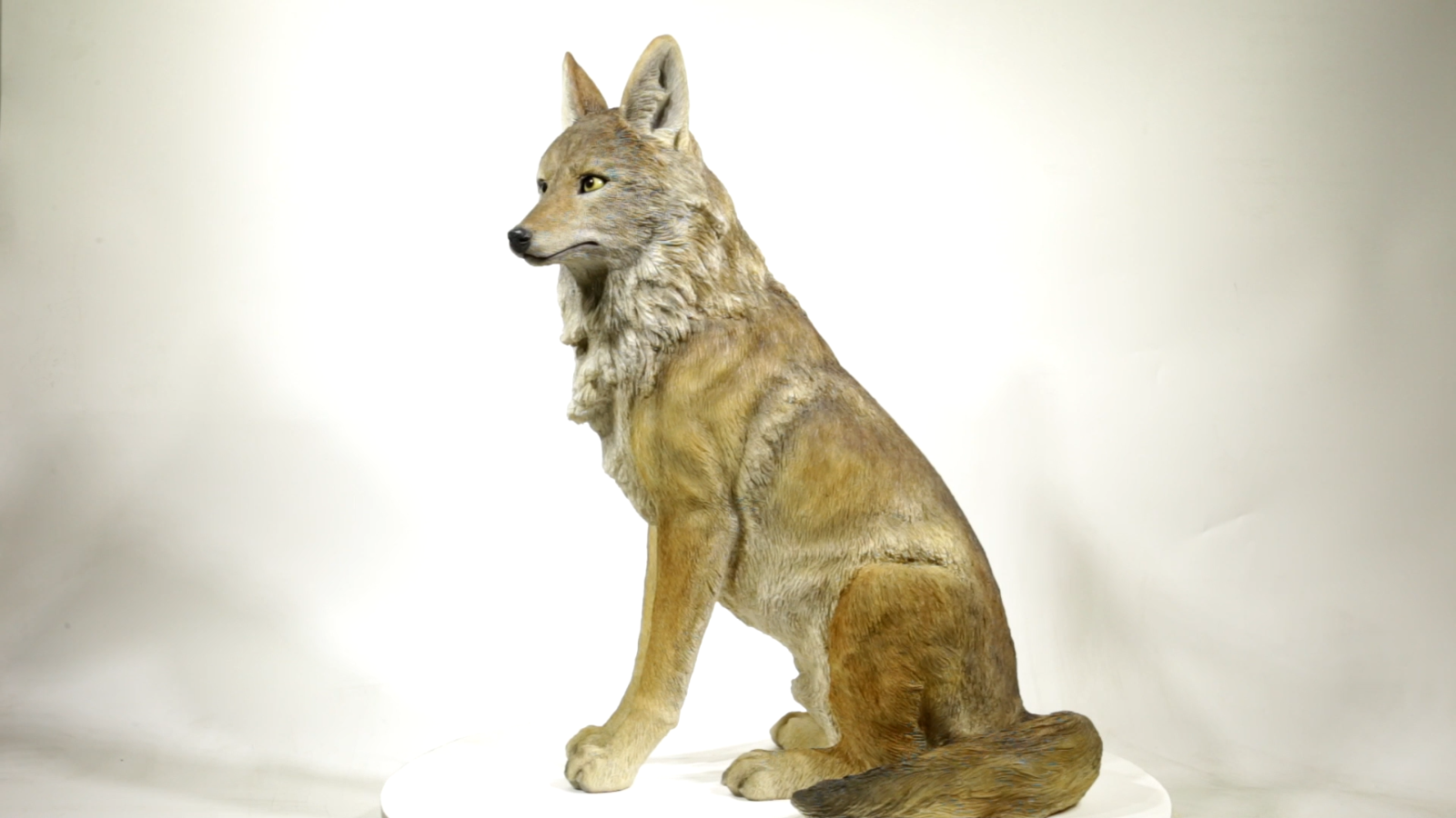 22" H Sitting Coyote Resin Statue Garden Home Yard Decor Wildlife ...