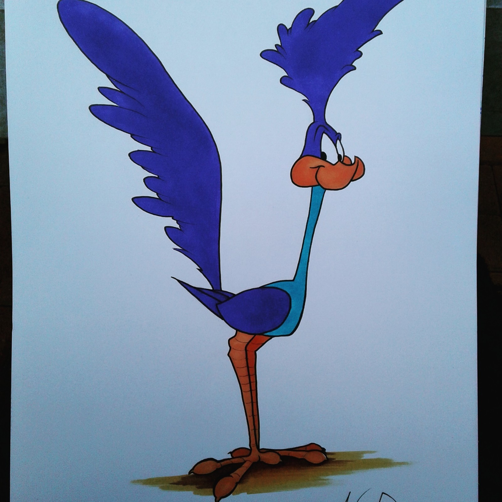 Road Runner Bird Drawing