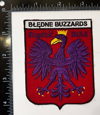 USAF Poland TDY 2013 Baltic Buzzards 510th Fighter Squadron Patch | eBay