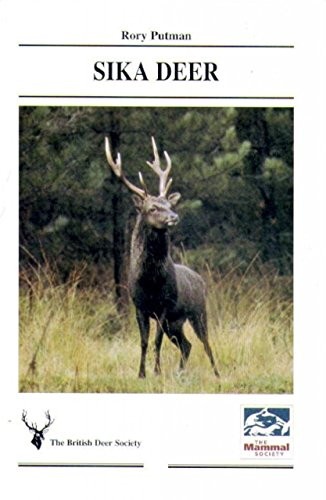 Sika Deer by Rory Putman NEW BOOK 9780906282397 | eBay UK