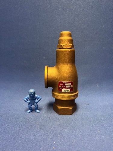 MIPEL 037 Size 100 1 Bronze Relief Valve with Dome Cap; Set Press. 25 ...