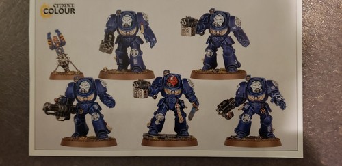 Warhammer 40k Space Marine Terminators Squad (x5) from Leviathan Box ...