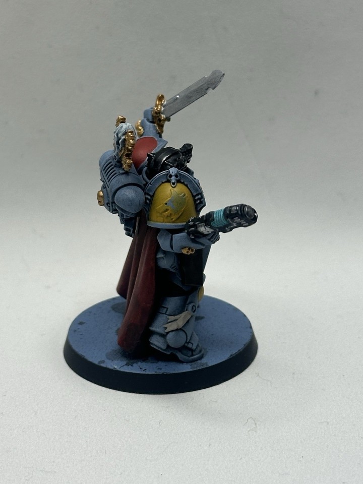Captain Space Wolves Warhammer 40k Space Marines Pro Painted Primaris ...