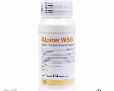 Alpine WSG Water Soluble Granule Insecticide 500g Jar Flea Bed Bug ...