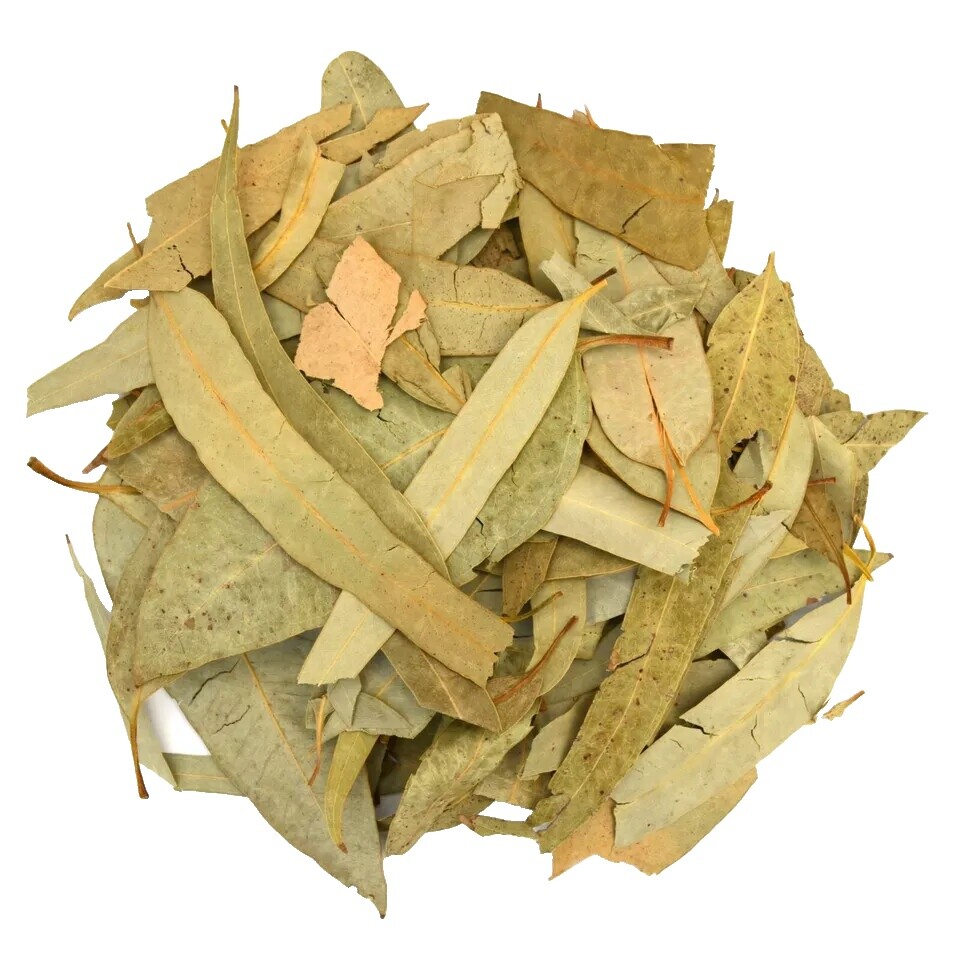 Dried Eucalyptus Leaves | eBay