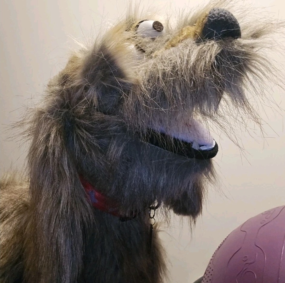 Professional Muppet Style Puppet Dog Character | eBay