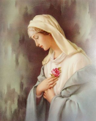 Posters, Prints & Pictures - Print Picture Virgin Mary