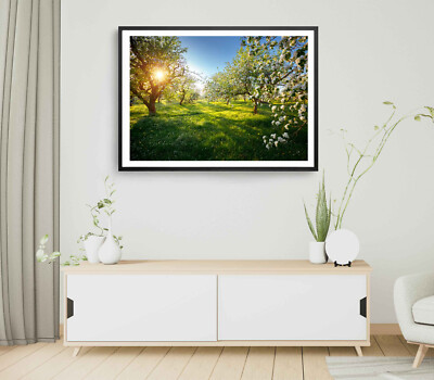 Blooming Lush Print, Lush Trees Wall Art,Sunshine Framed Garden Wall ...