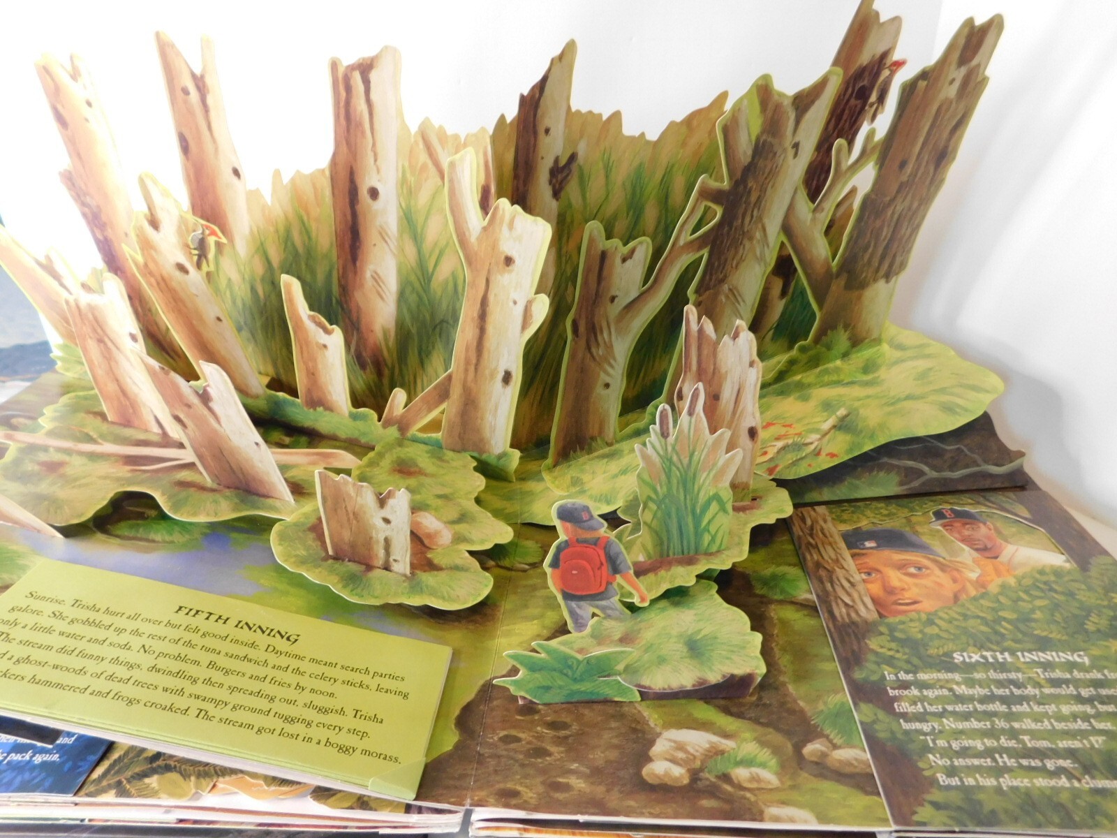 The Girl Who Loved Tom Gordon SIGNED Stephen King Pop-Up Book - 2004 | eBay