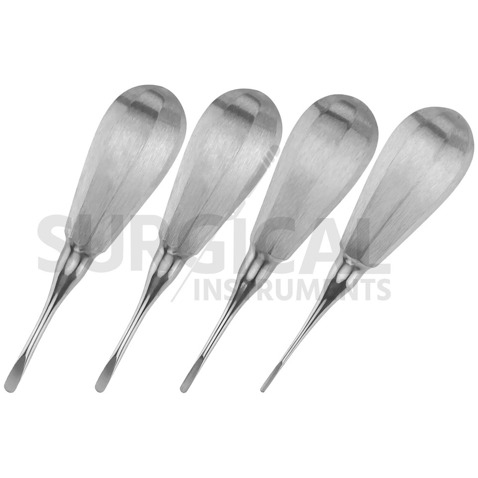 4 Pcs Luxating Straight Elevators Set Dental Instruments Stainless ...