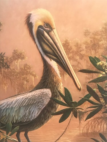 Louisiana Artist R.C. Davis Proud Pelican Canvas Art | eBay