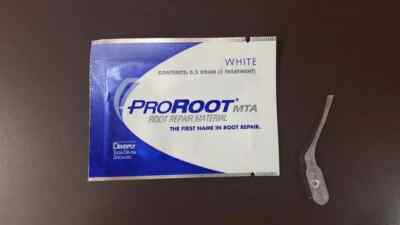 Dentsply Proroot MTA 0.5gm tooth colored root canal repair material ...