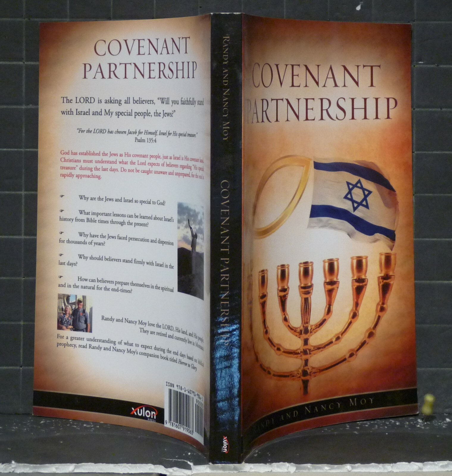 Covenant Partnership by Randy Moy and Nancy Moy (2009, Trade Paperback ...