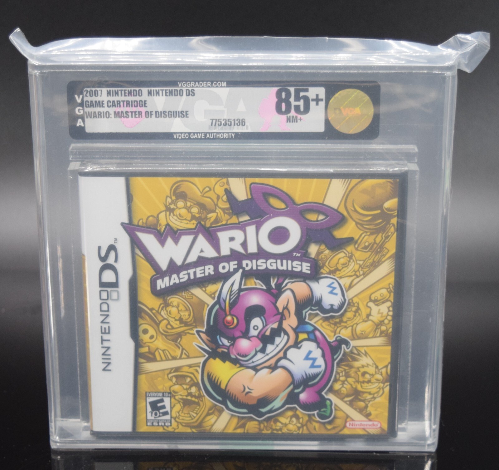Wario Ds Game