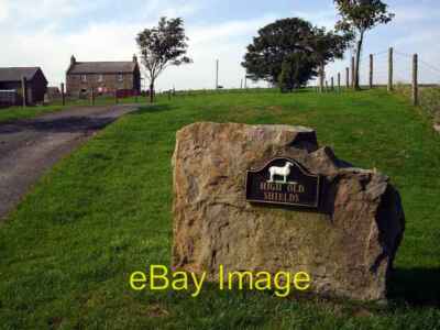 Photo 6x4 High Old Shields Farm Greenhead/NY6665 Northumbrian sheep ...