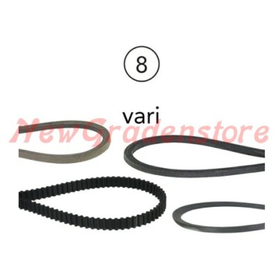 Belt Traction Lateral Belt Flat Sandrigarden 23x922mm 203730 520041 ...