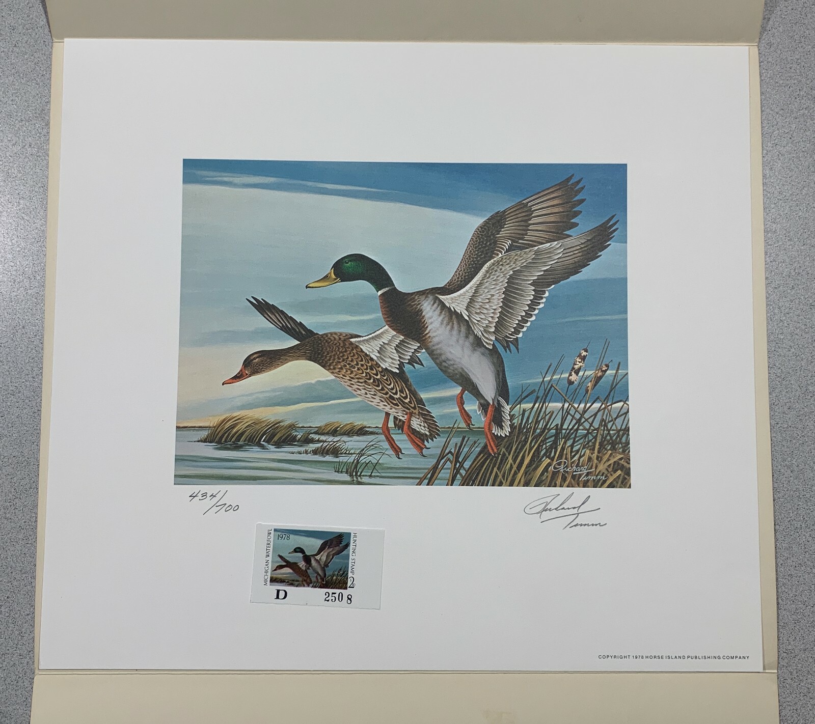 1978 MICHIGAN Duck Stamp Print **RICHARD TIMM** With Stamp! | eBay