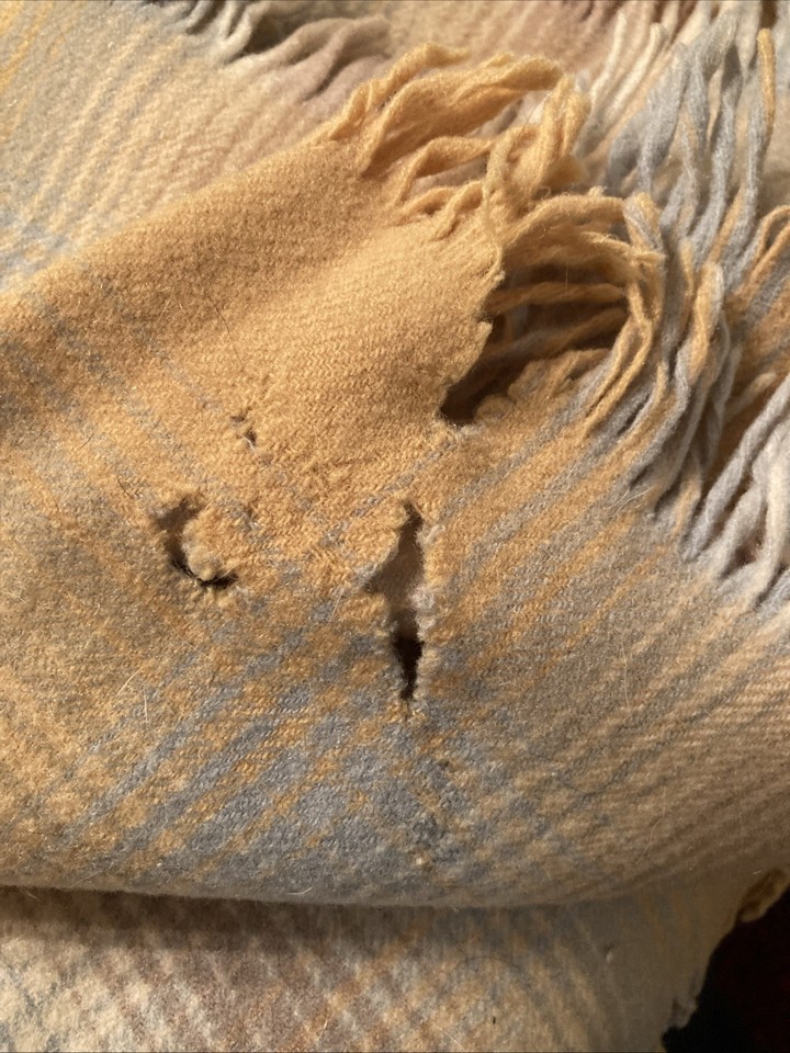 VTG 50S WOOL O' THE WEST Tan Yellow Teal PLAID FRINGE THROW BLANKET 64 ...