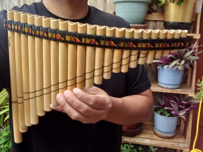 Native American style flute pan flute W-BAGS -NEW tuned | eBay