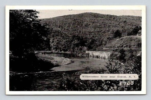 Roscoe New York Willoweemoc River - Slivercraft Postcard | eBay