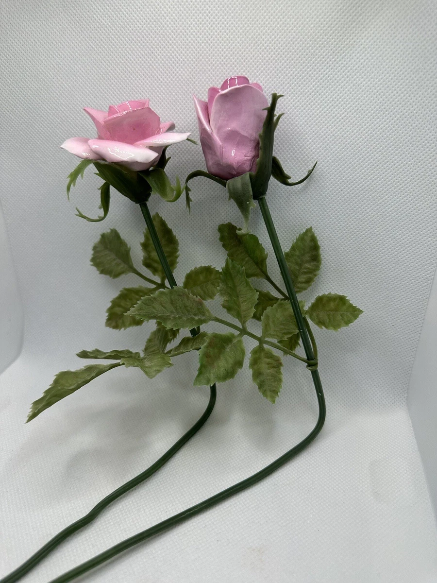 Light Pink Rose And Stem