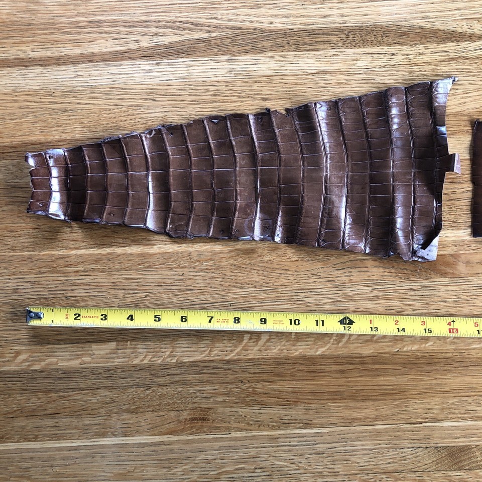 Genuine Crocodile Alligator Hide Leather Skin Brown Remnants | eBay