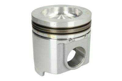 Piston IPD PARTS 1601131 | eBay Australia