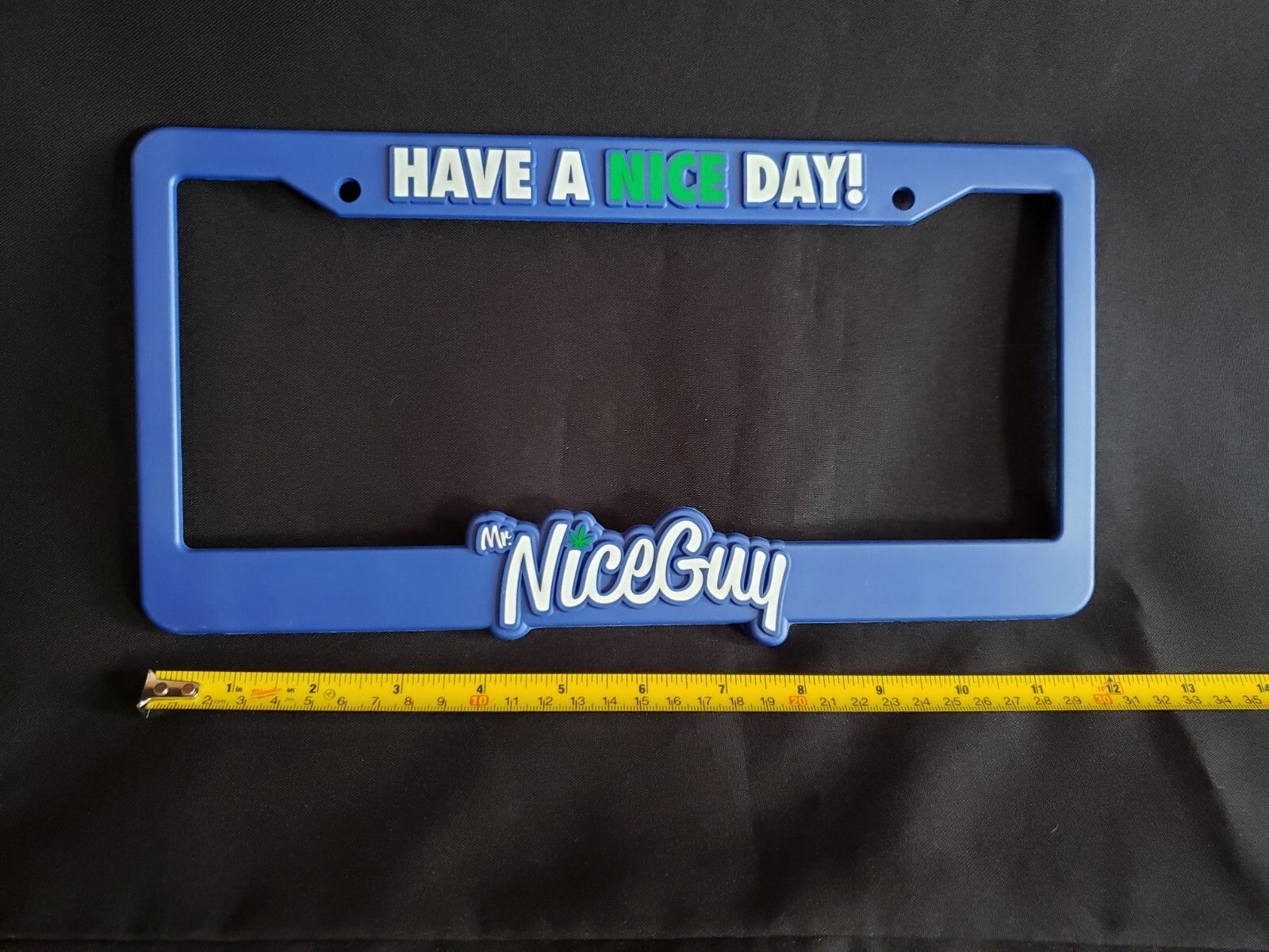 MR. NICE GUY License Plate Frame 12 in Frame Blue/Green "Have A Nice ...