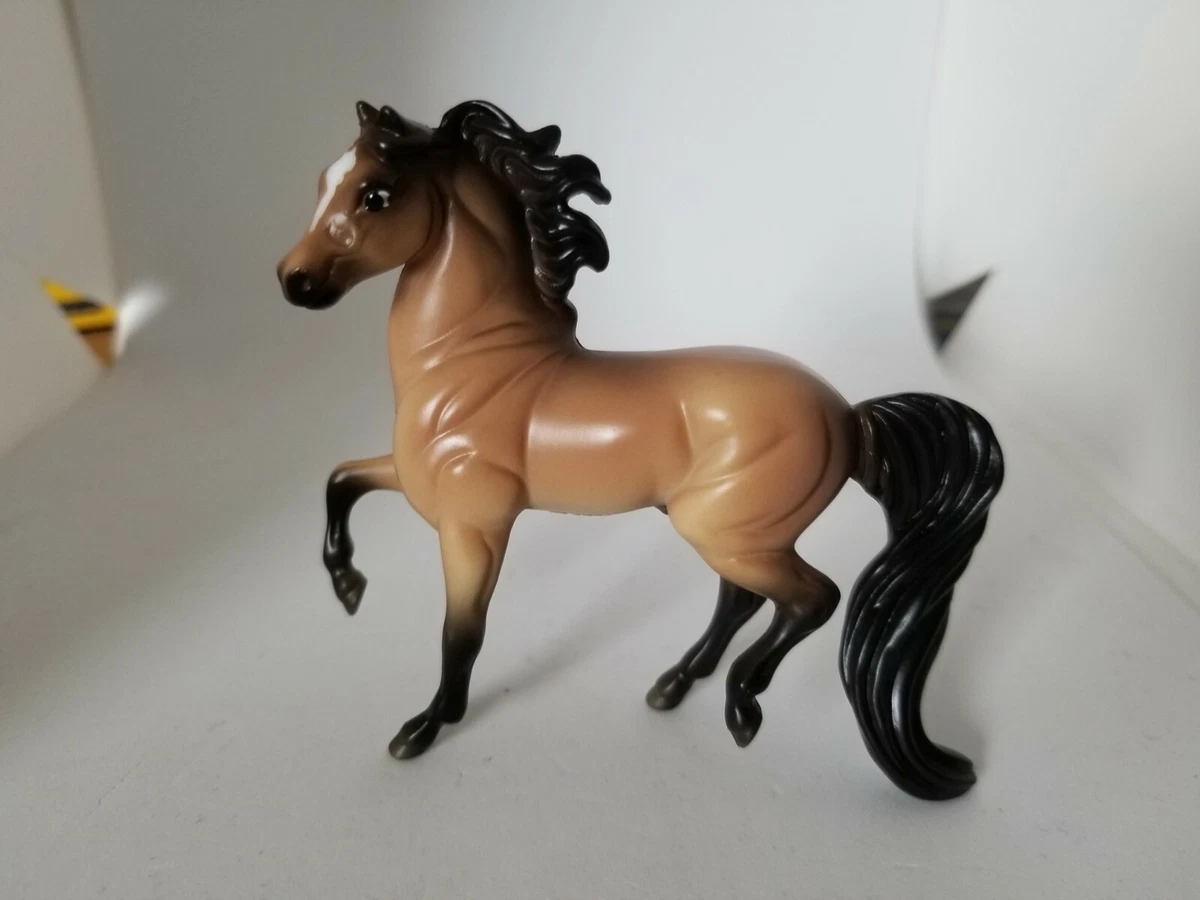 Buckskin Morgan Horse