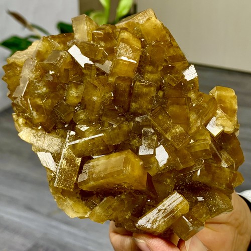 2.18LB Shiny Golden Cuboid Barite Crystal Based on the Purple Spherical ...