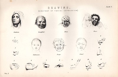 1880 PRINT ~ DRAWING ~ ANATOMY OF FACIAL EXPRESSIONS ~ FEAR RAGE ...