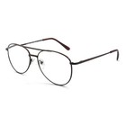 Aviator Style Reading Glasses EYE ZOOM Men and Women Metal Aviator ...