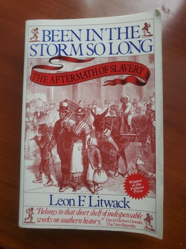 Been in The Storm So Long by Leon F. Litwack Paperback in Good ...