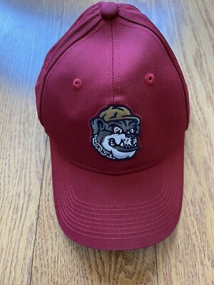 Maroon Minor League Baseball Hat with Embroidered Bulldog, adjustable ...