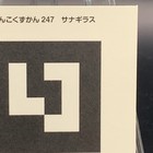 Pupitar Pokemon Pro Seal National Pokédex Sticker Nintendo 2012 ...